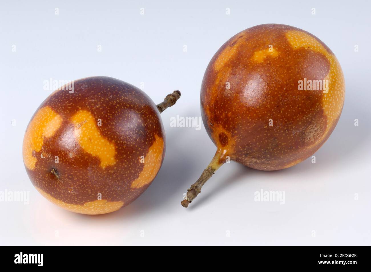 Sweet granadilla (Passiflora ligularis) granadilla fruit Stock Photo ...
