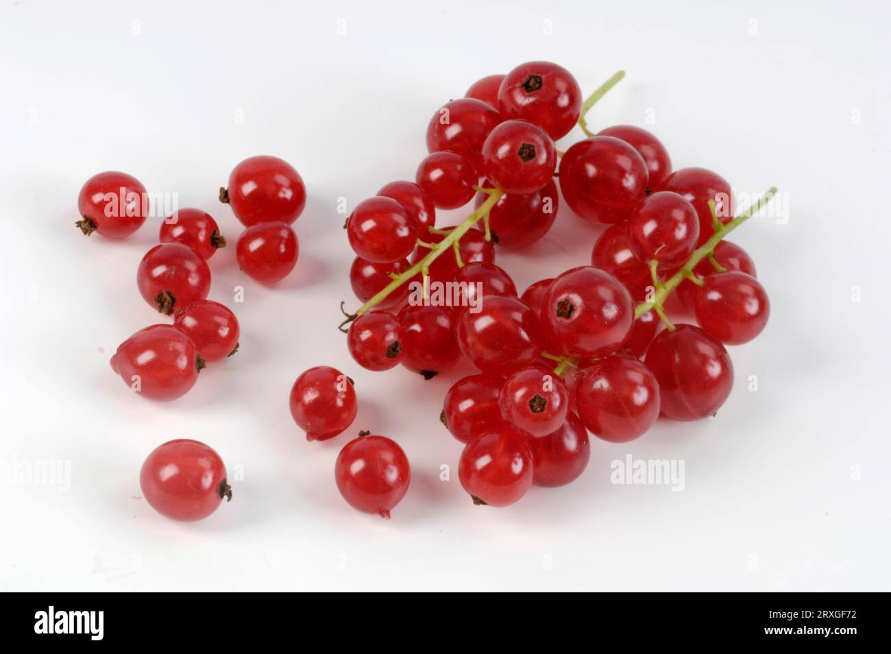Red Currant berries, Redcurrant (Ribes rubrum) currants, inside, Studio ...