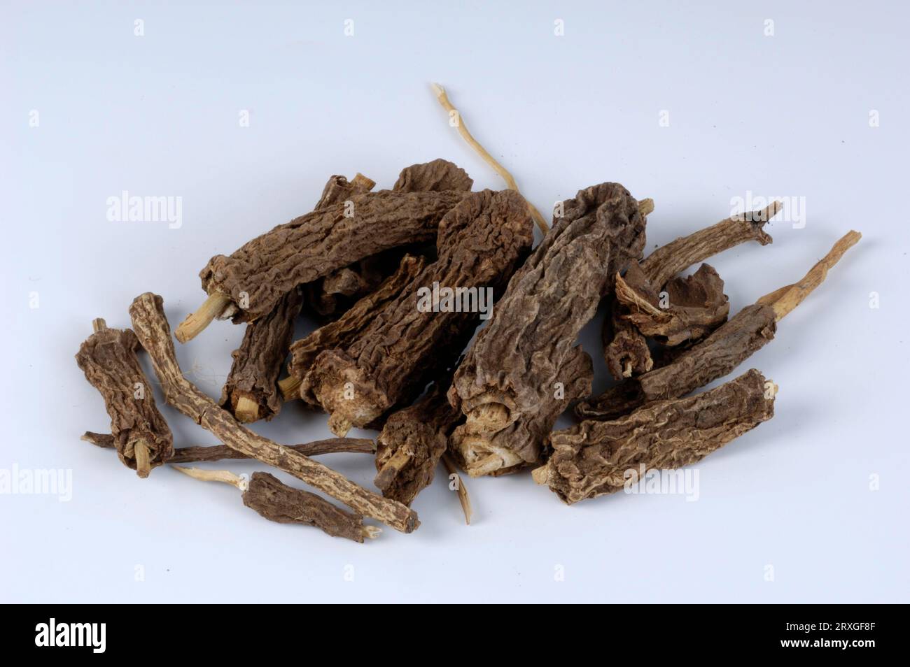 Costus roots (Saussurea costus), Indian costus root, costus root ...