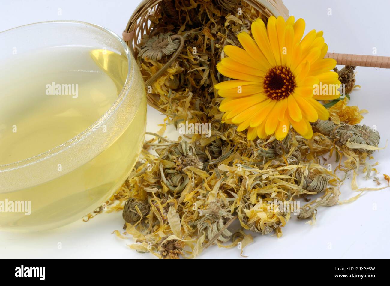 Marigold (Calendula officinalis), dried, and cup of marigold tea Stock ...