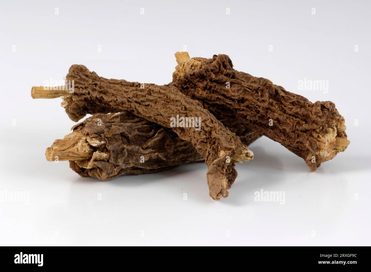Costus roots (Saussurea costus), Indian costus root, costus root ...