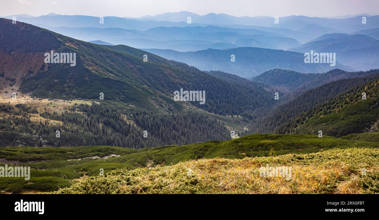 sharp rocks of Shpytsi Mountain in Chornohora mountain range in ...