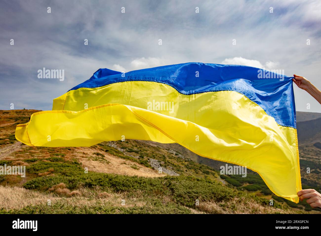 Ukrainian national flag in front of Carpathian mountains Stock Photo ...