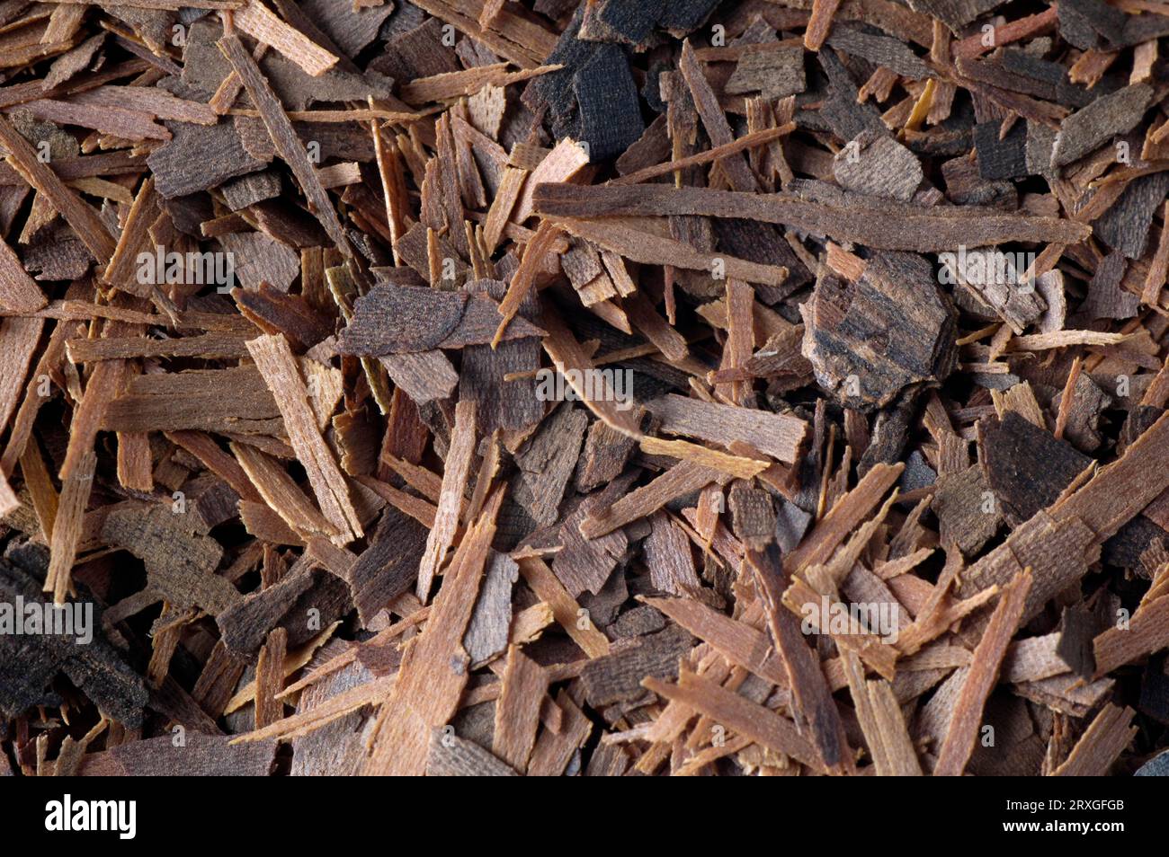 Pink Trumpet Tree bark (Tabebuia impetiginosa), Lapacho bark, indoor ...