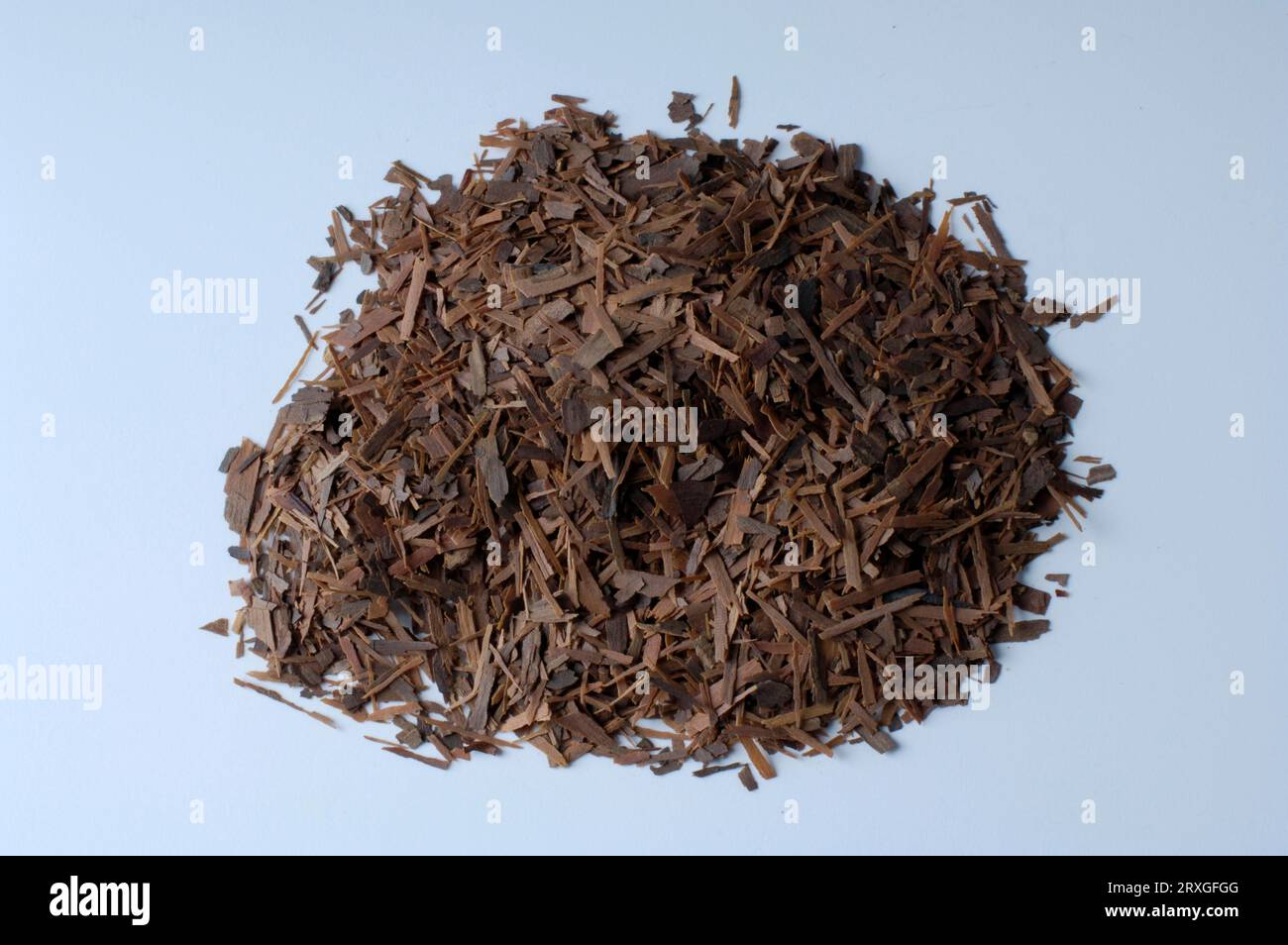 Pink Trumpet Tree bark (Tabebuia impetiginosa), Lapacho bark, indoor ...
