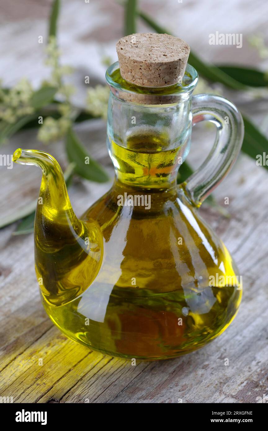 Bottle of Olive oil (Olea), Bottle of olive oil, Olive oil Stock Photo ...