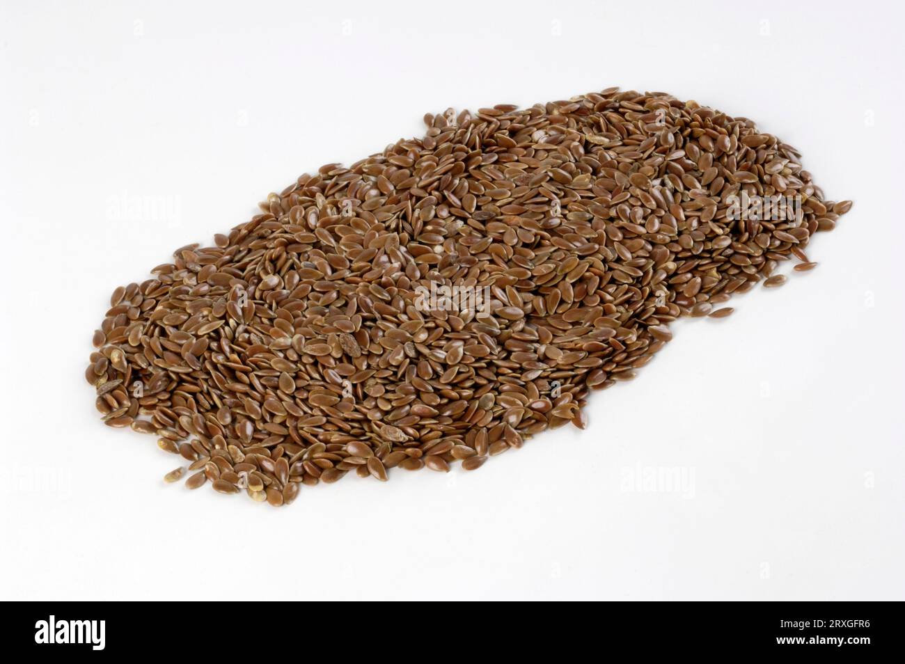 Botany linaceae common flax hi-res stock photography and images - Alamy