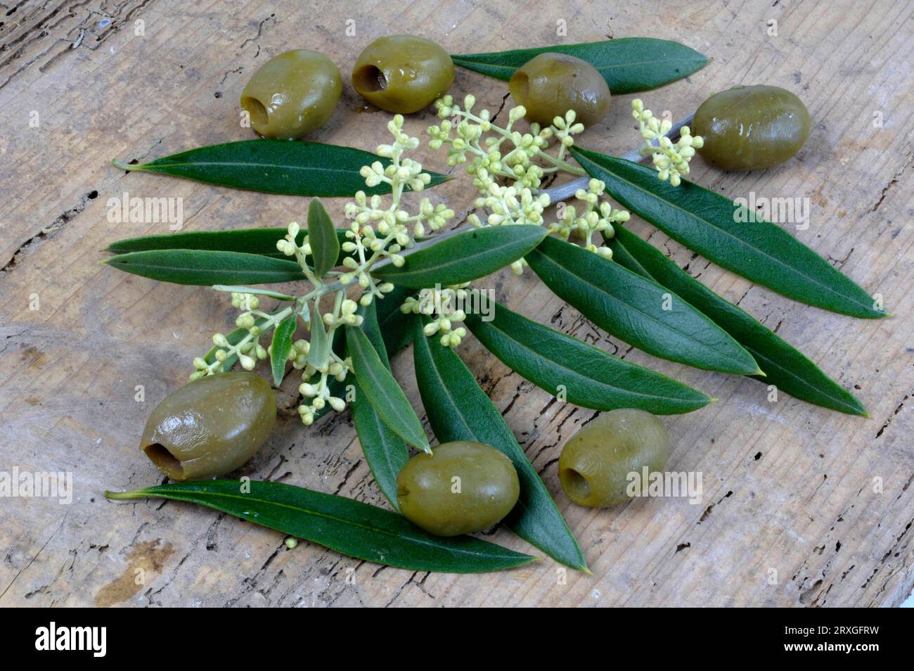 Olives (Olea), Pitted olives, Olive Stock Photo - Alamy