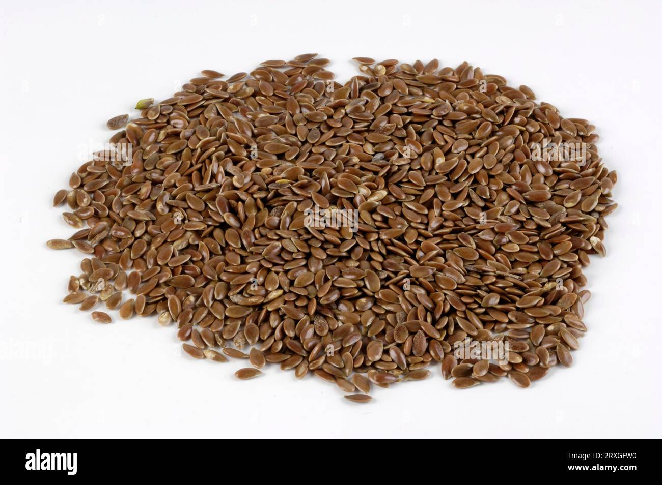 Linseed (Linum usitatissimum), flax, seed linen, linseed Stock Photo - Alamy