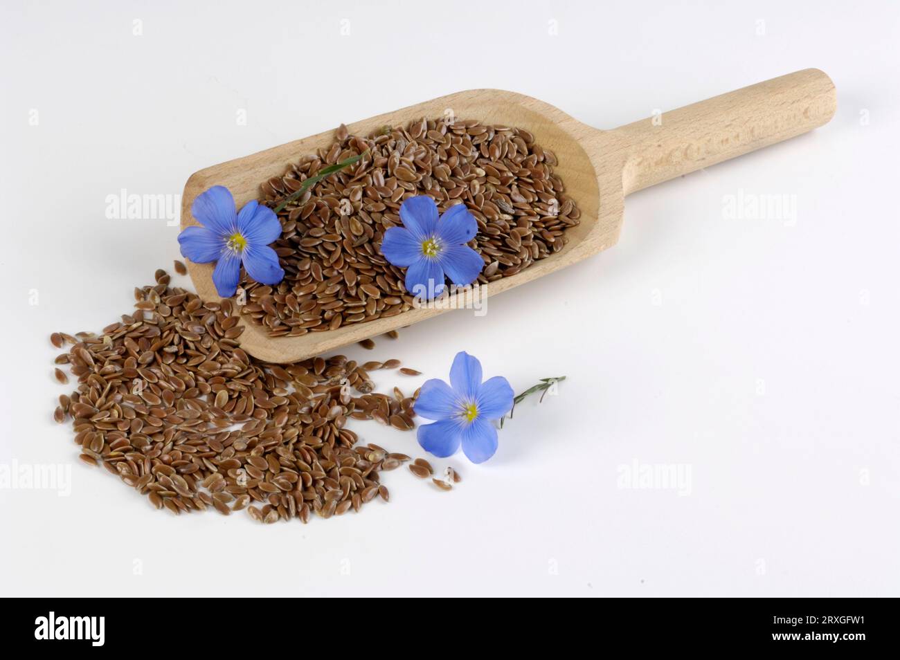 Linseed and wooden spoon (Linum usitatissimum), linen, seed linen, linseed Stock Photo - Alamy