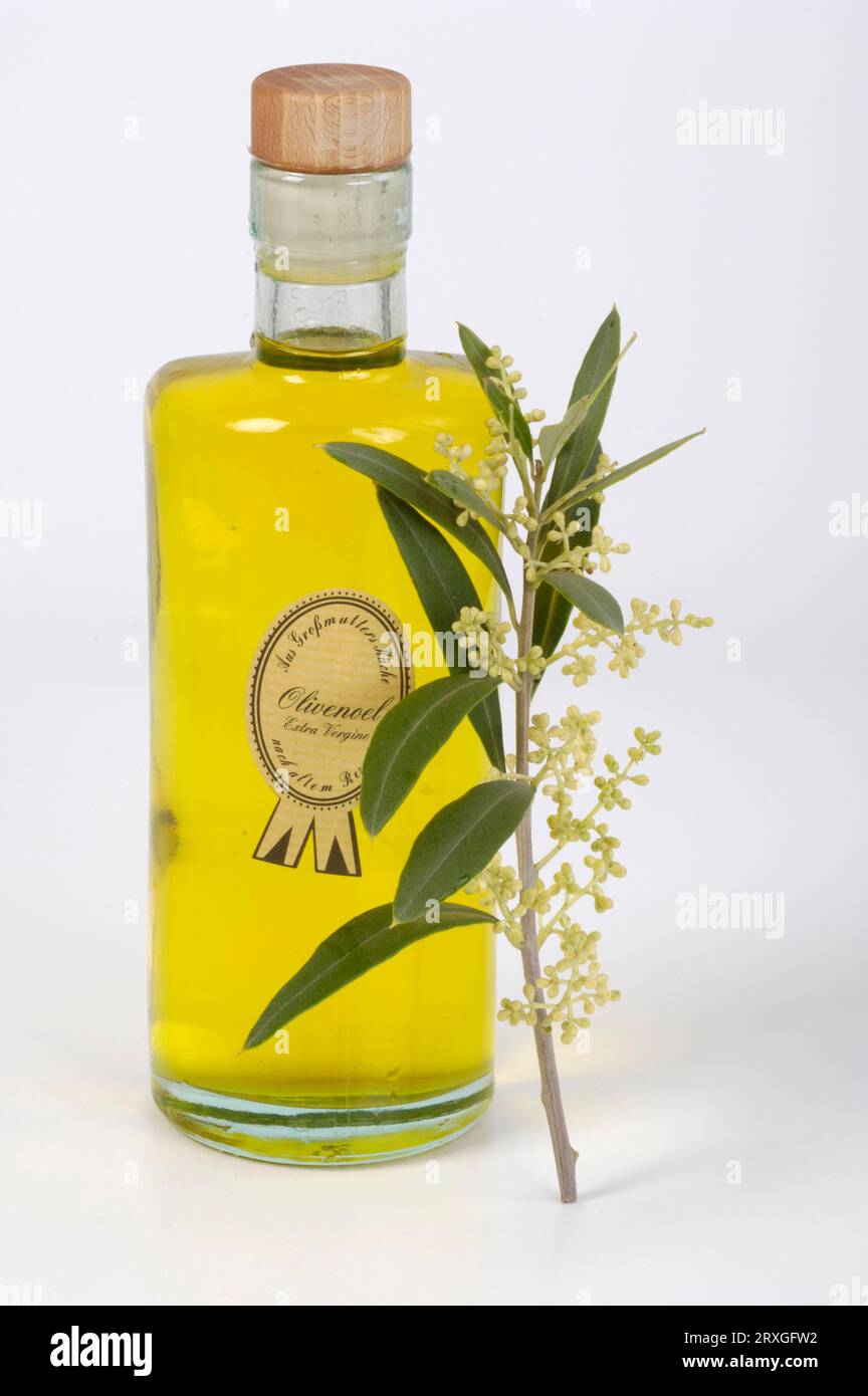 Bottle of Olive oil (Olea), Bottle of olive oil, Olive oil Stock Photo ...
