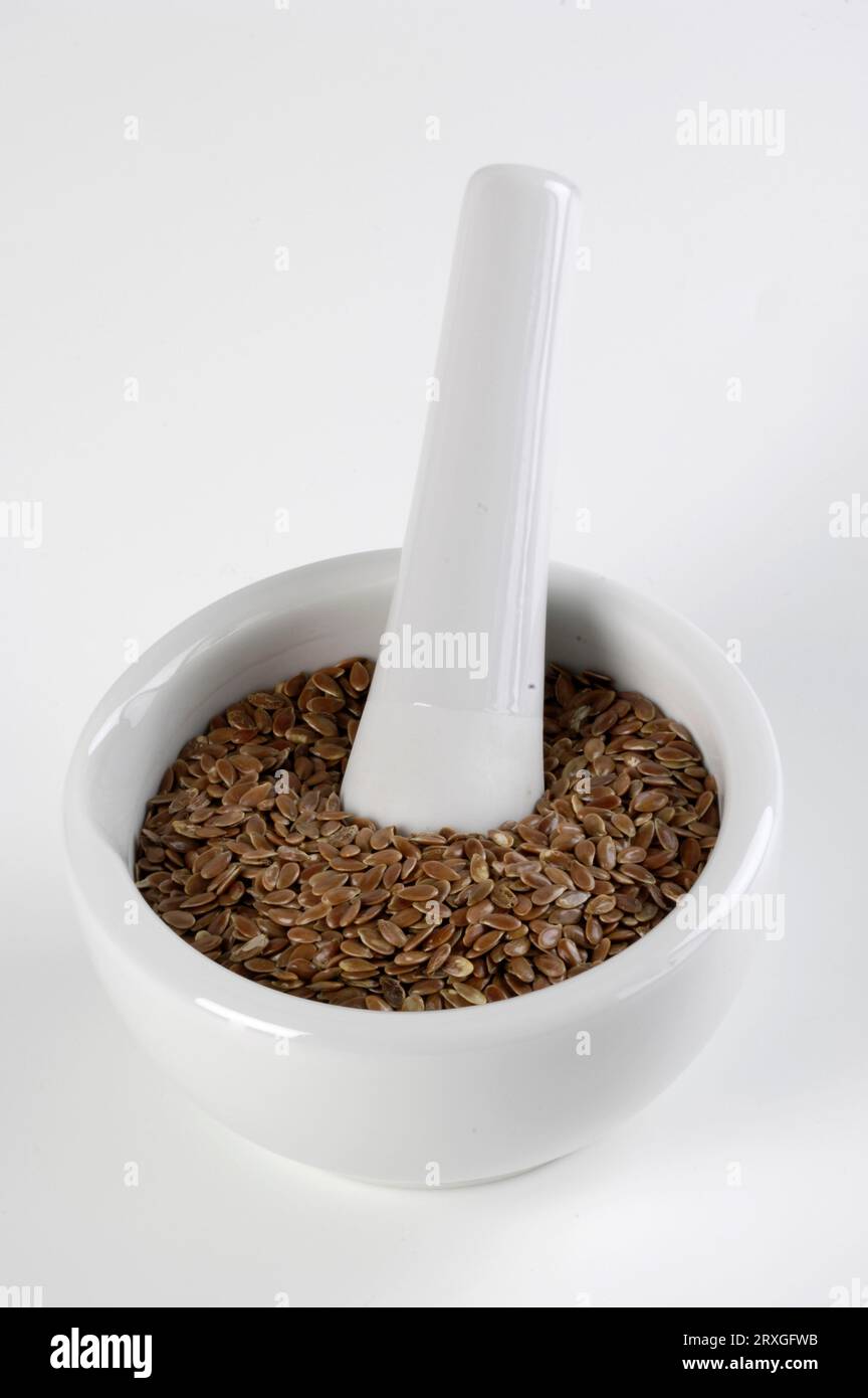 Common flax, linseed in mortar (Linum usitatissimum), linseed in mortar ...