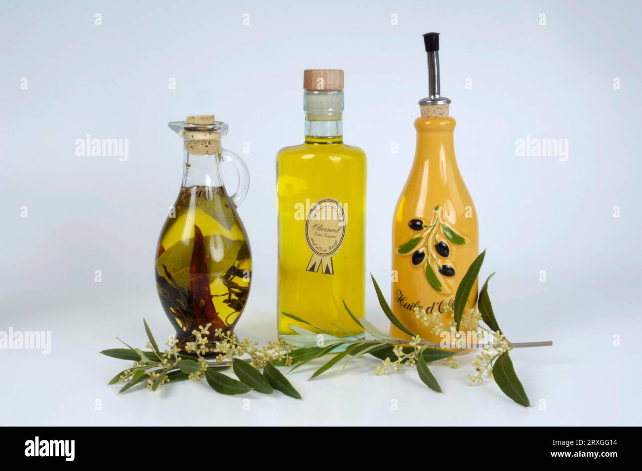 Bottles of olive oil (olea), olive oil Stock Photo - Alamy