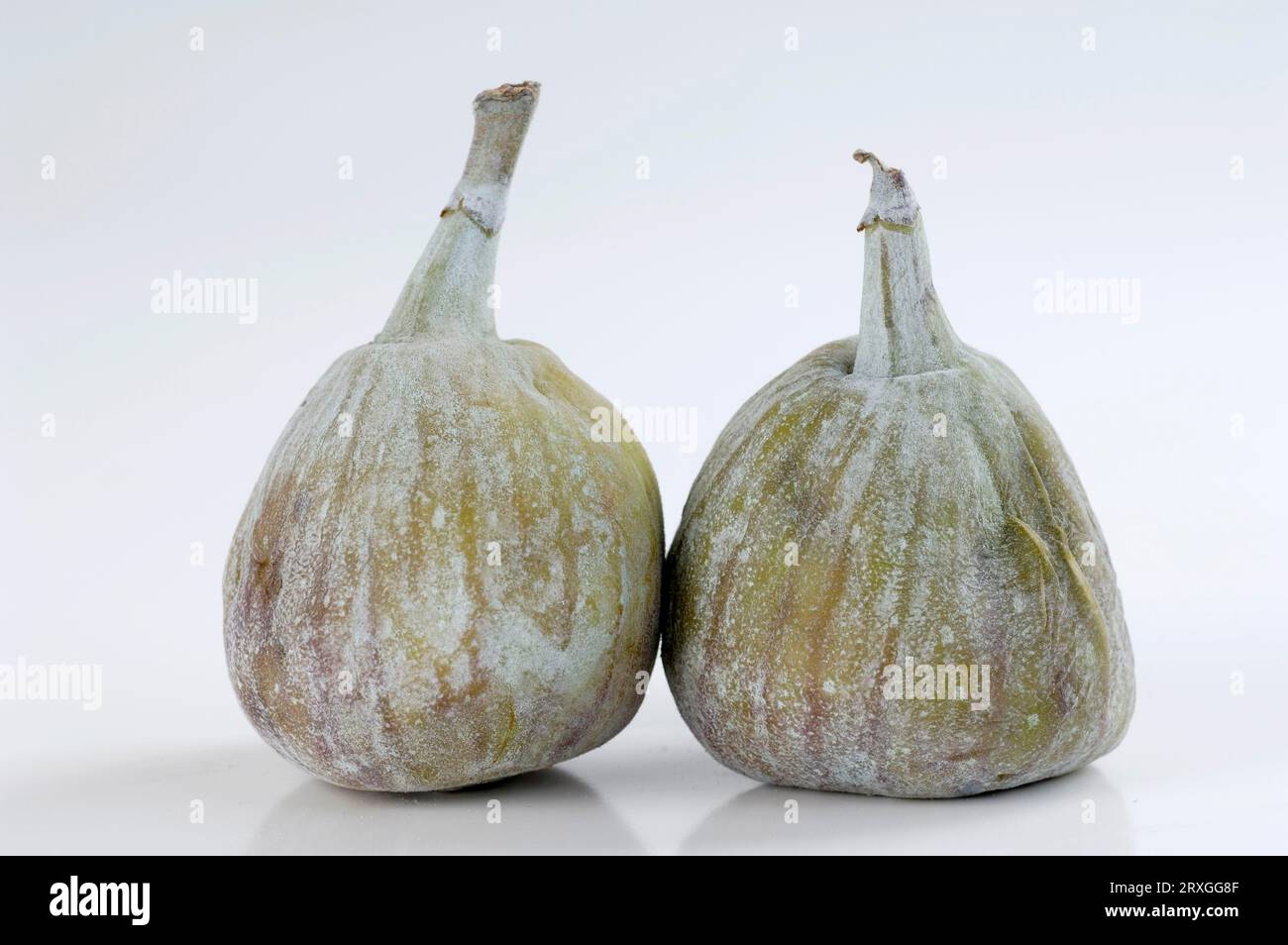 Cut-open figs (Ficus carica Stock Photo - Alamy