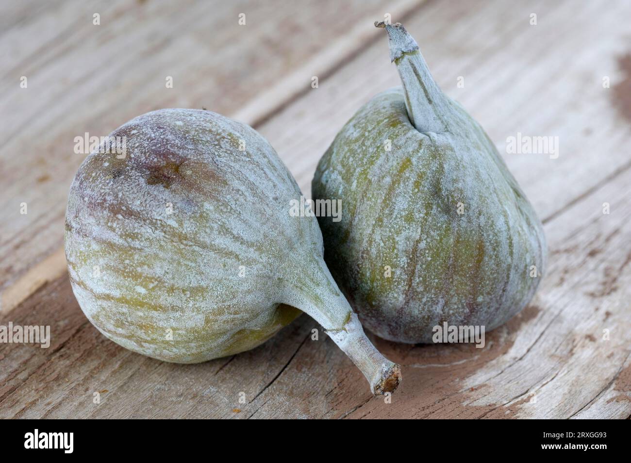 Cut-open figs (Ficus carica Stock Photo - Alamy