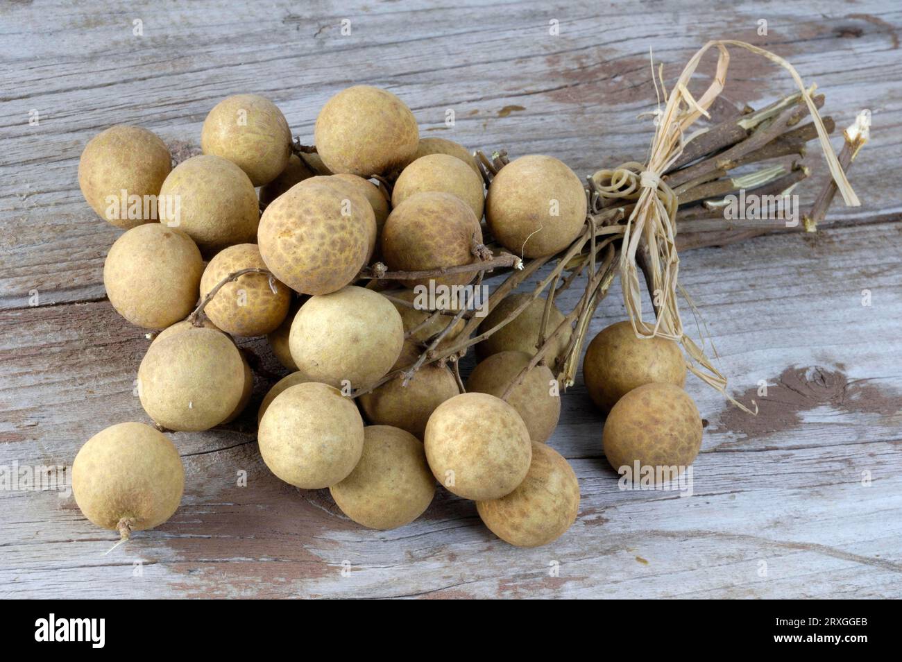 Dragon eye fruit (Euphoria longanm) (Nephelium longana), Lungan Stock ...