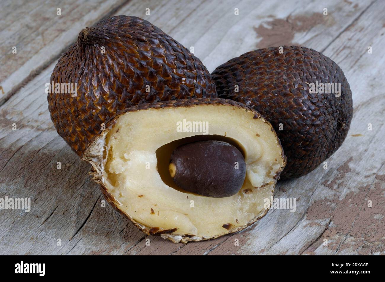Salak palm tree hi-res stock photography and images - Alamy