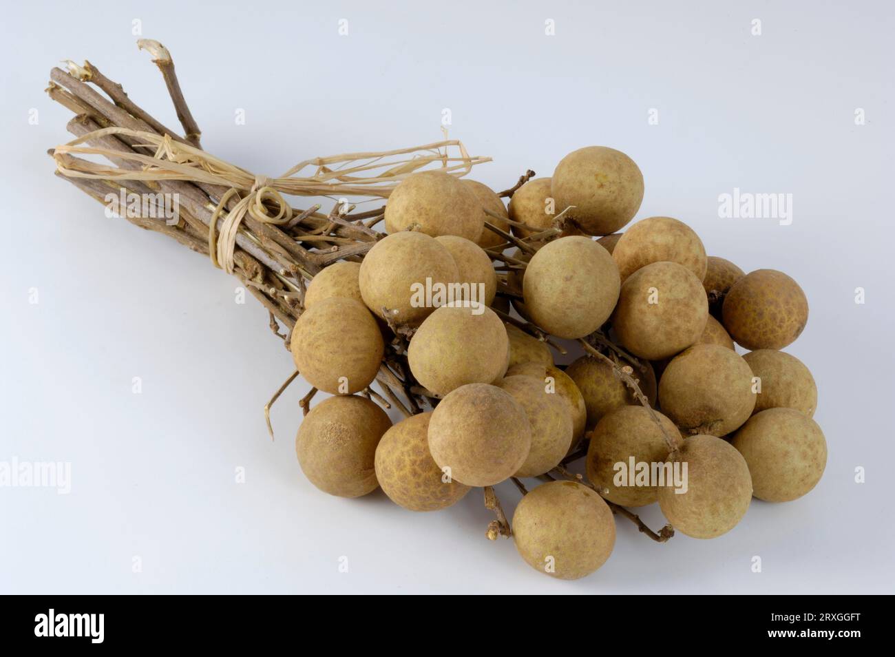 Dragon eye fruit (Euphoria longanm) (Nephelium longana), Lungan Stock ...