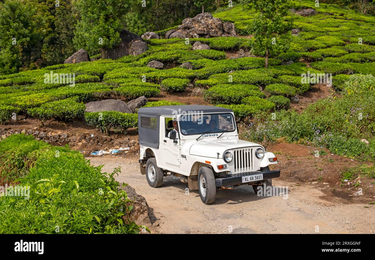 Drive tea plantation hi-res stock photography and images - Alamy