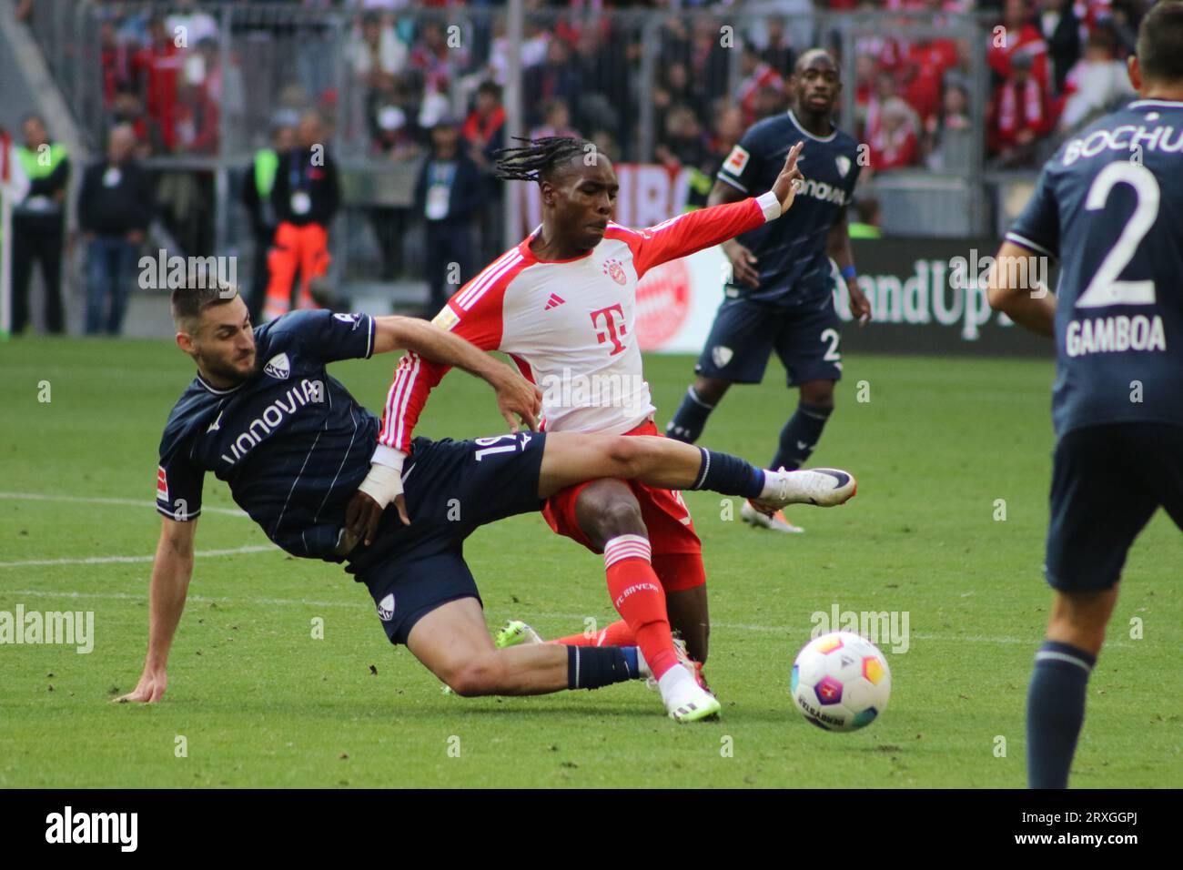 MUNICH, Germany. , . 39 Mathys TEL vs 19 Matus BERO of VfL BOCHUM ...