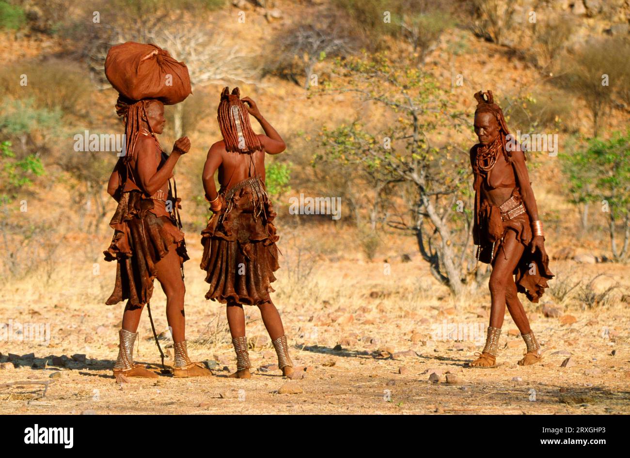 Himba woman, Hartmann's valley, Kaokoland, Namibia Stock Photo - Alamy