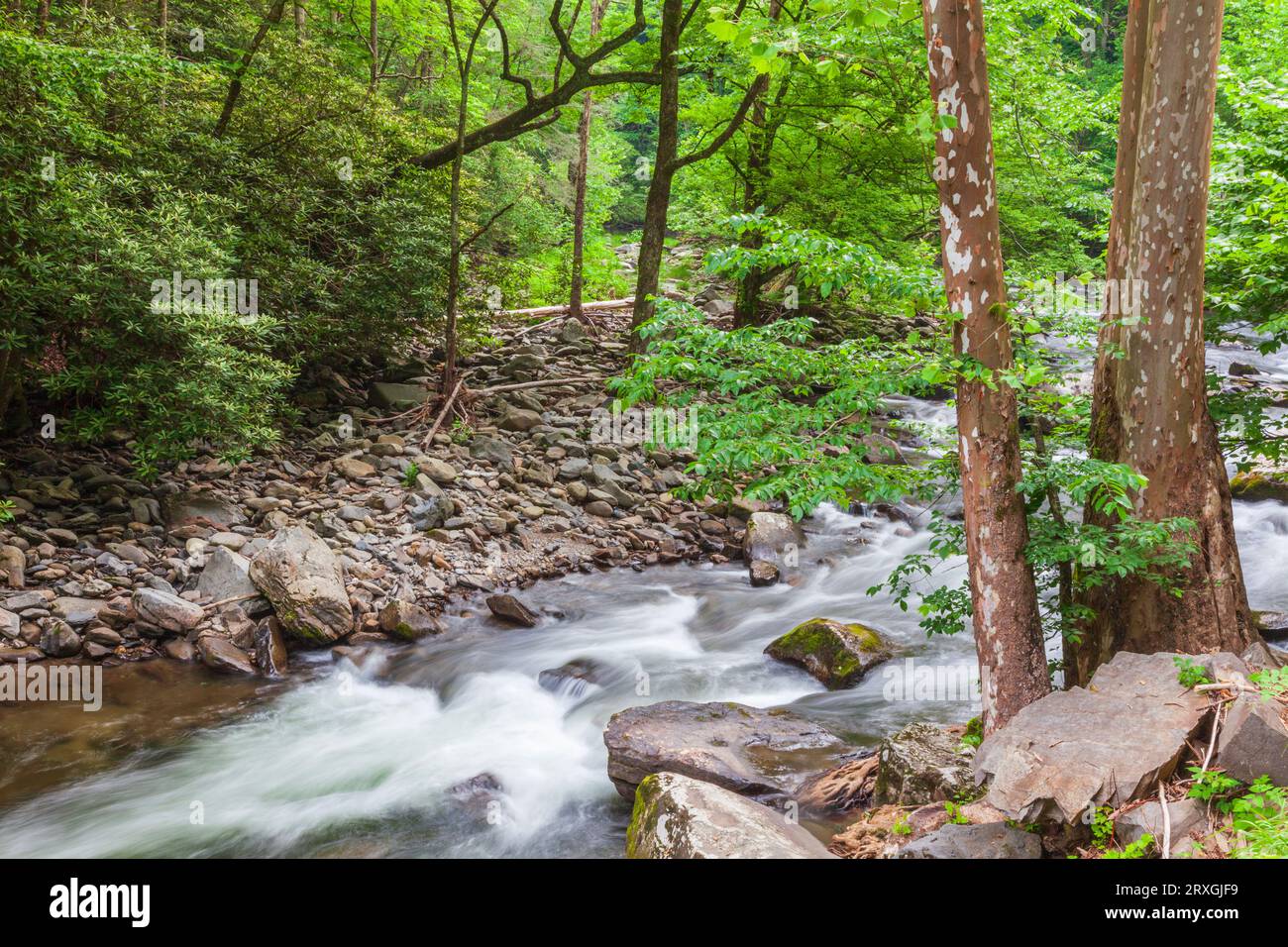 Precambrian rocks from ocoee supergroup hi-res stock photography and ...