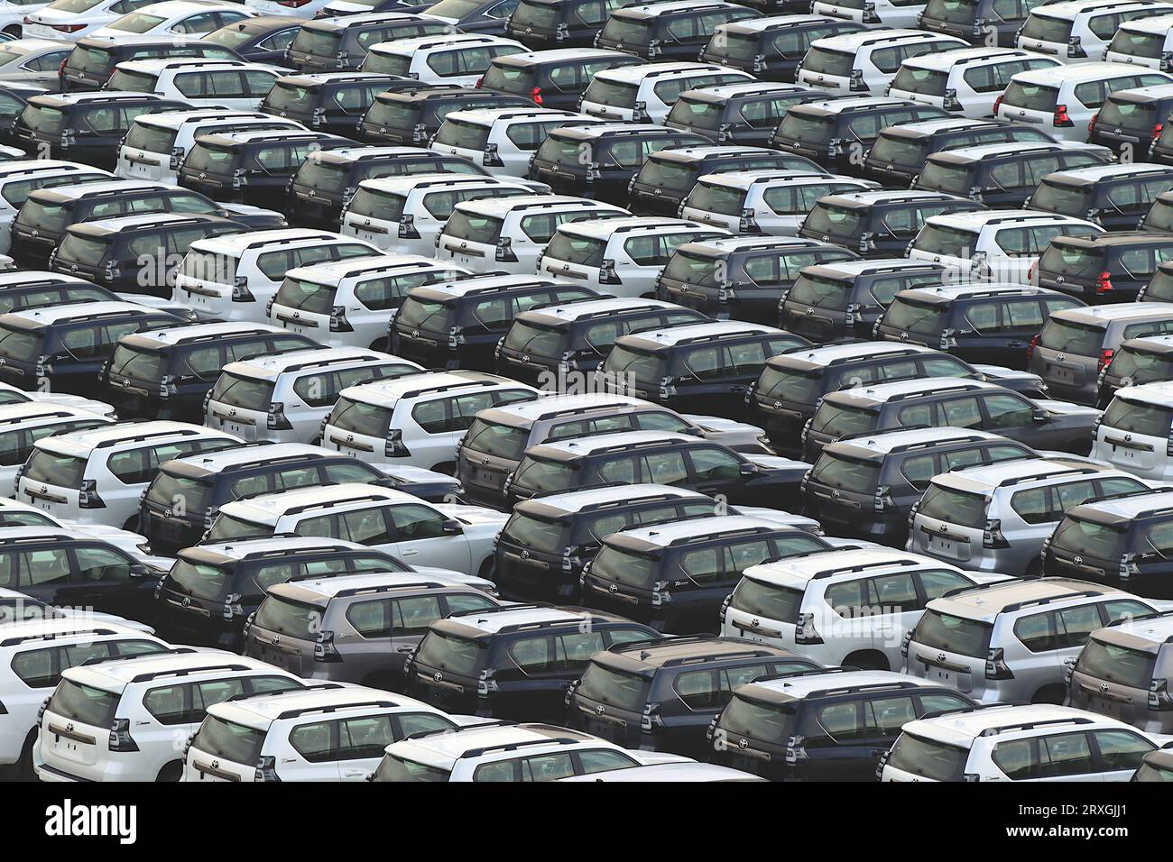 In excess of 600 Toyota Land Cruiser Prado SUVs and Toyota sedans await ...
