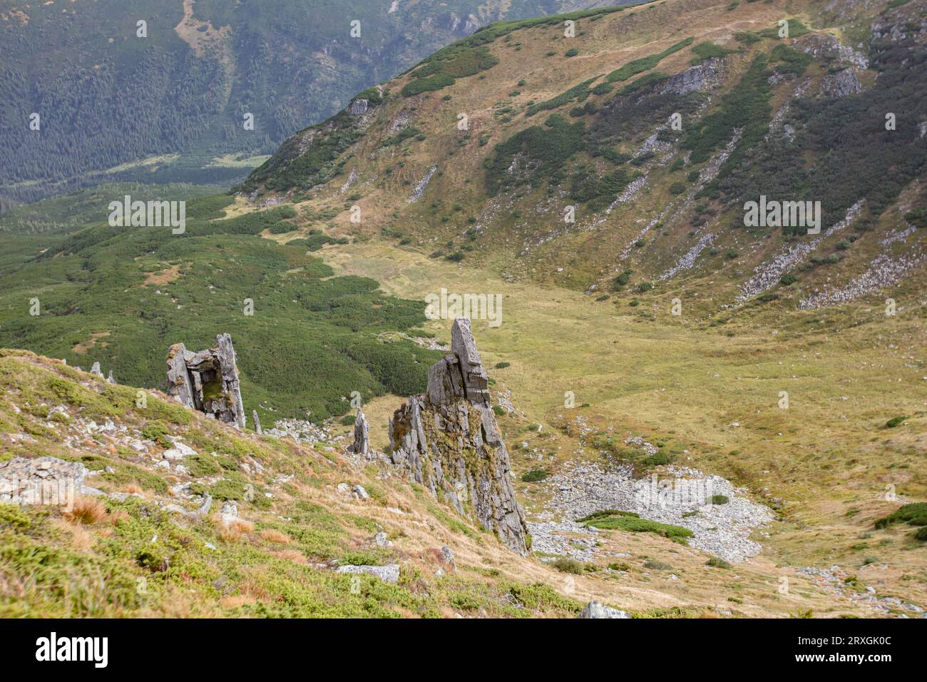 sharp rocks of Shpytsi Mountain in Chornohora mountain range in ...
