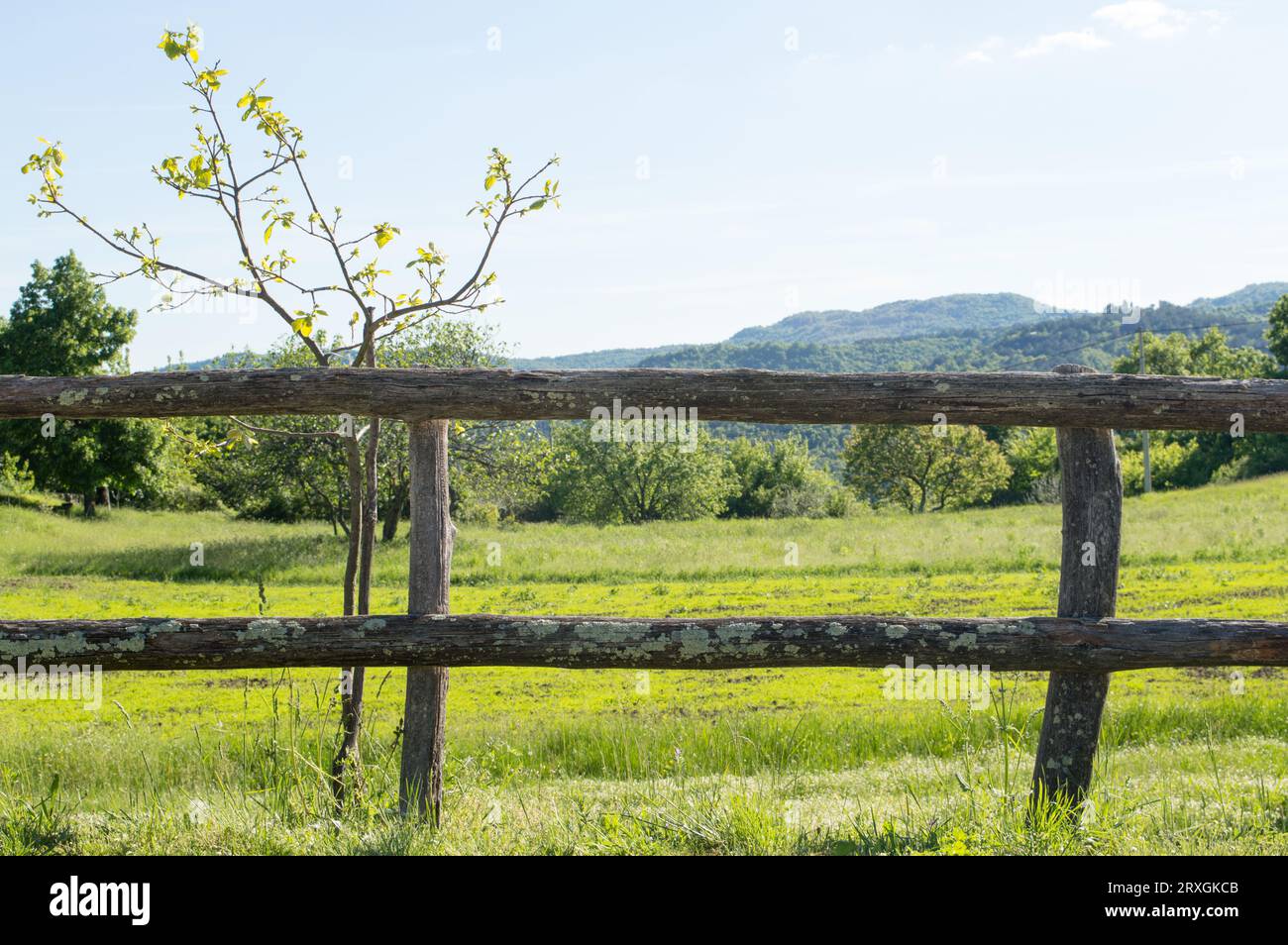 Rural landscape with wooden fence and beautiful green field in the ...