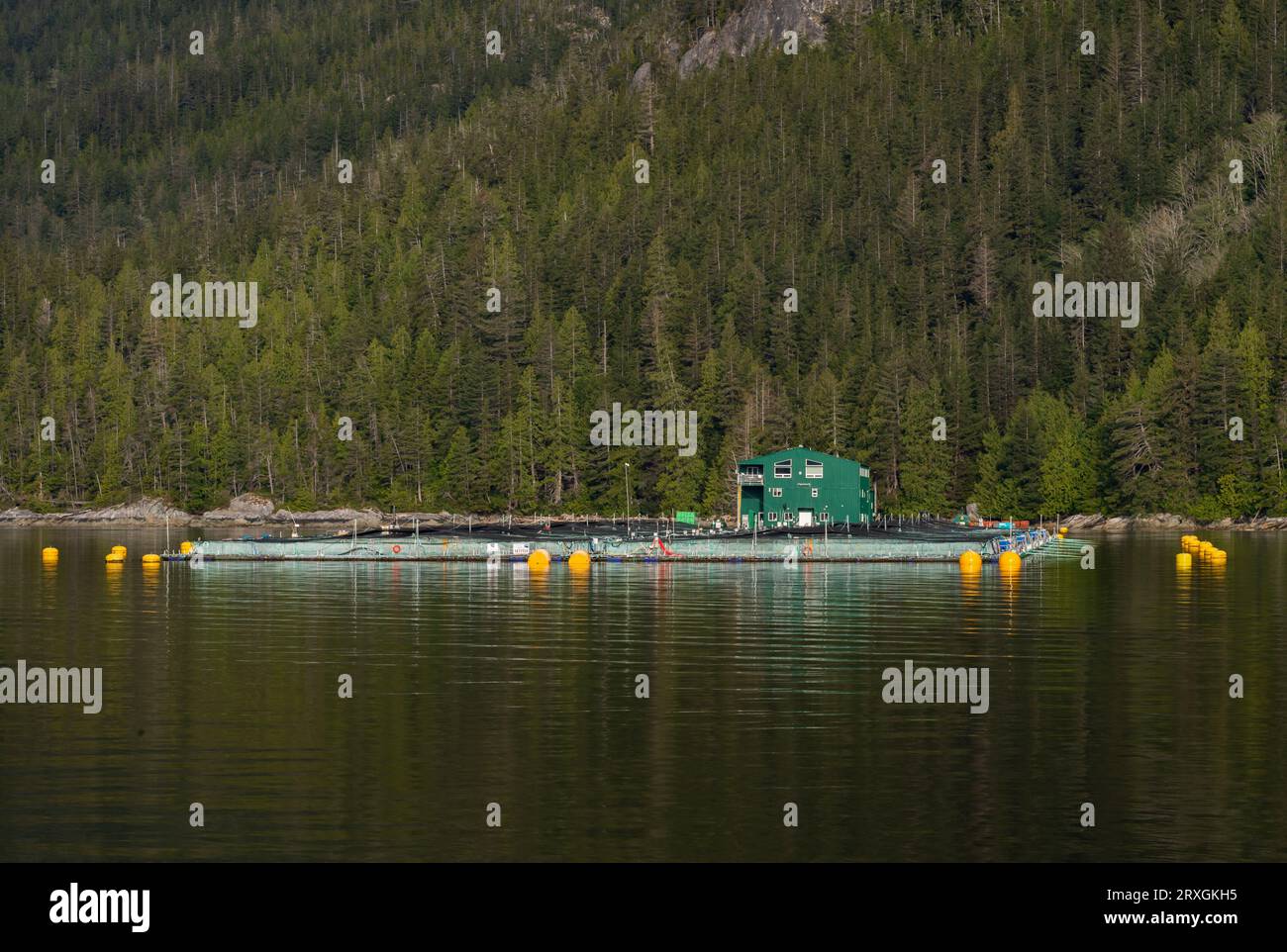Fish farming operations hi-res stock photography and images - Alamy