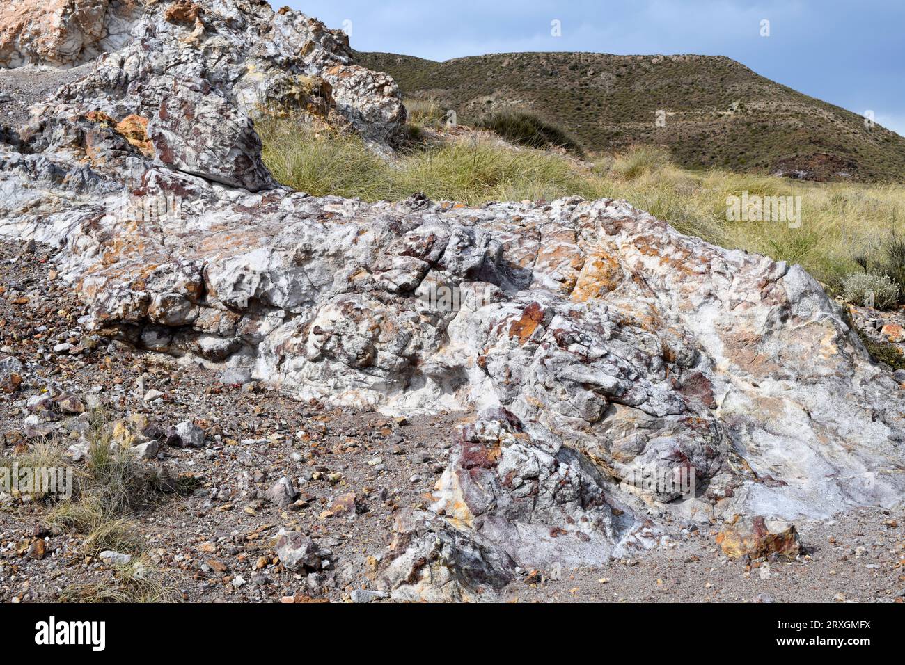 Ignimbrite volcanic rock formation. The yellow veins are jarosite ...