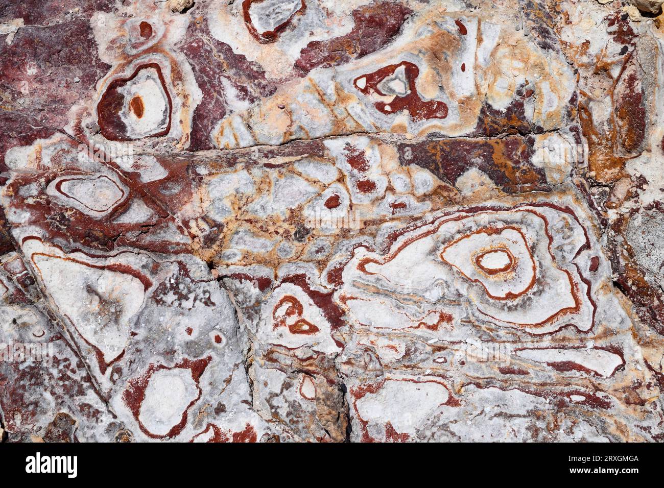 Ignimbrite volcanic rock formation with Liesegang rings. The yellow ...