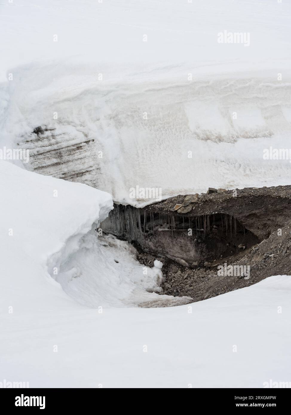 Icicles in an opening in melting a glacier in Svalbard with a patch of ...