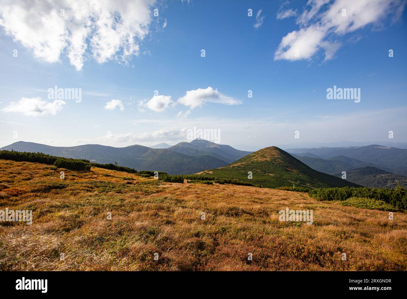 sharp rocks of Shpytsi Mountain in Chornohora mountain range in ...