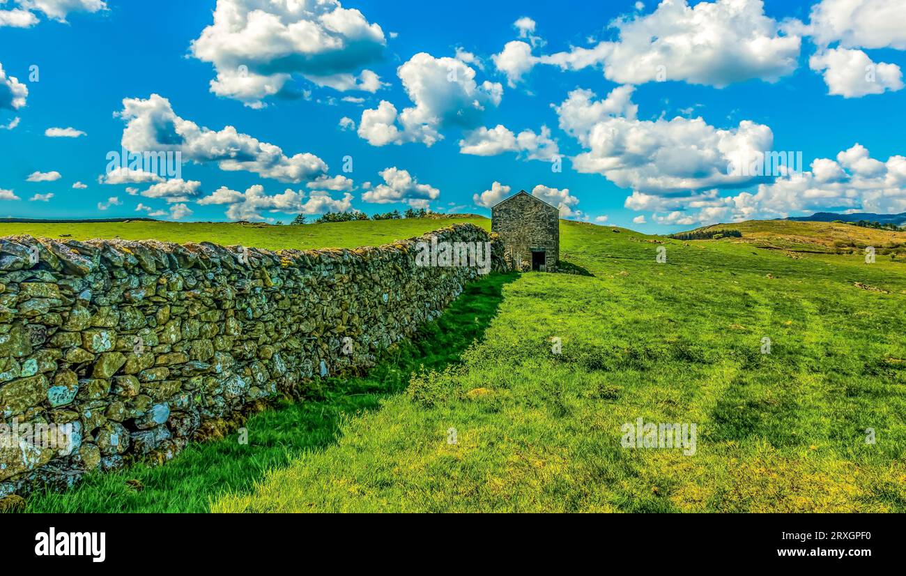 Dry Stone wall, Sheep Farming, Lake District National Park, UK Stock ...