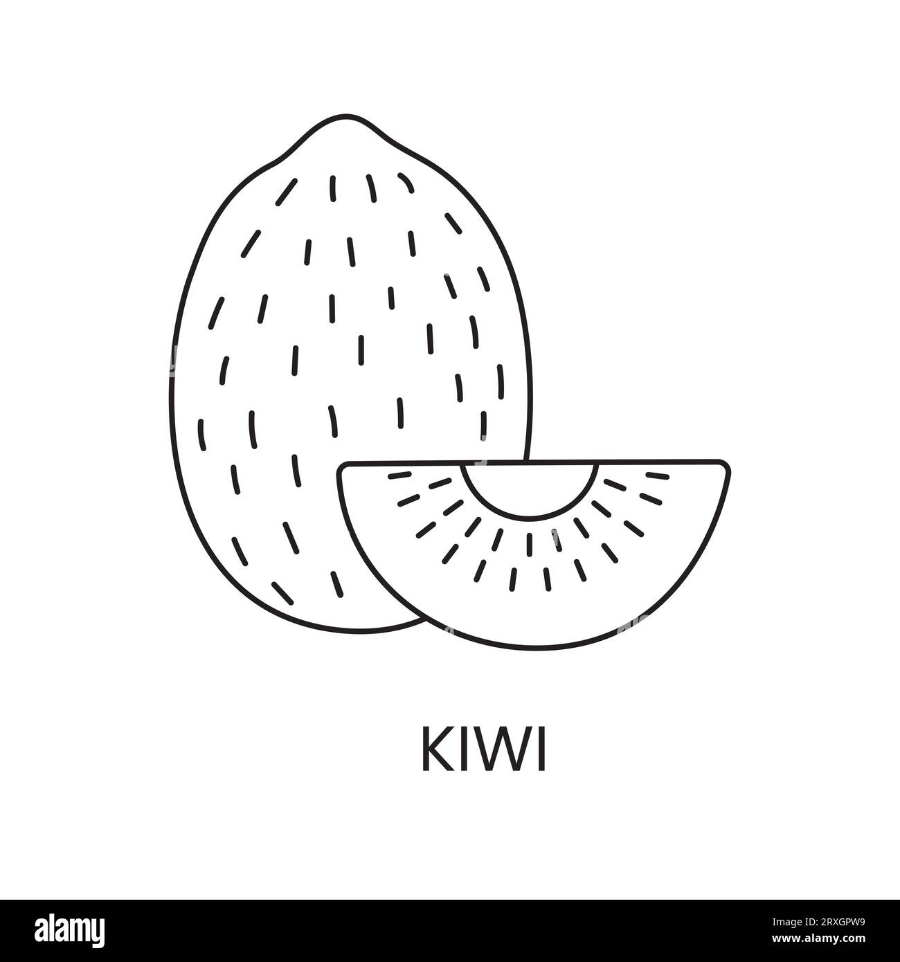 Kiwi line icon in vector, fruit illustration Stock Vector Image & Art ...