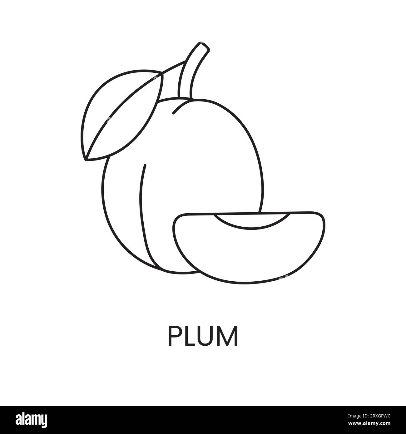 Plum line icon in vector, fruit illustration Stock Vector Image & Art ...