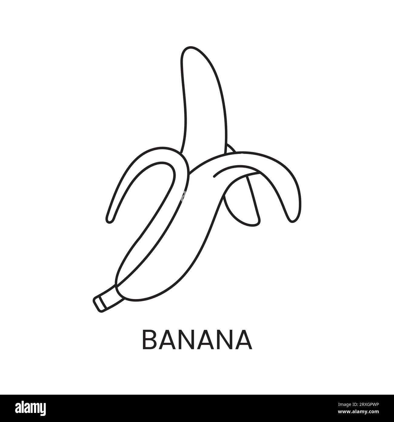 Banana line icon in vector, tropical fruit illustration Stock Vector ...