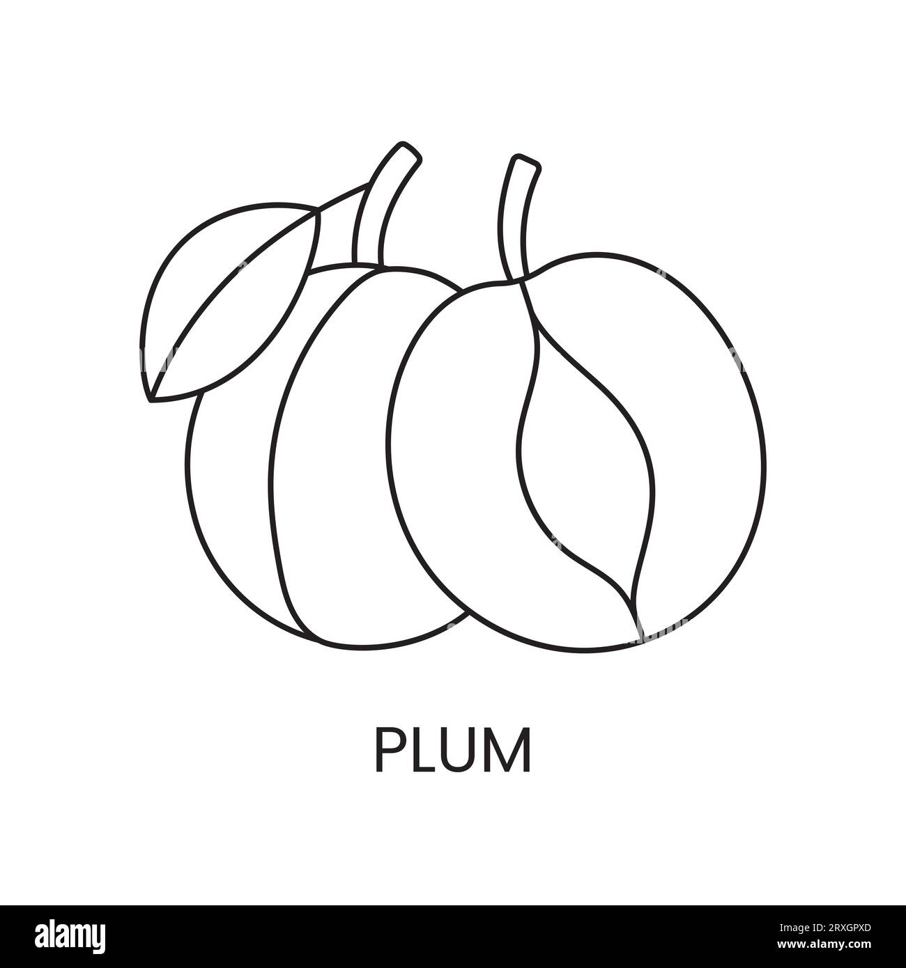 Plum line icon in vector, fruit illustration Stock Vector Image & Art ...