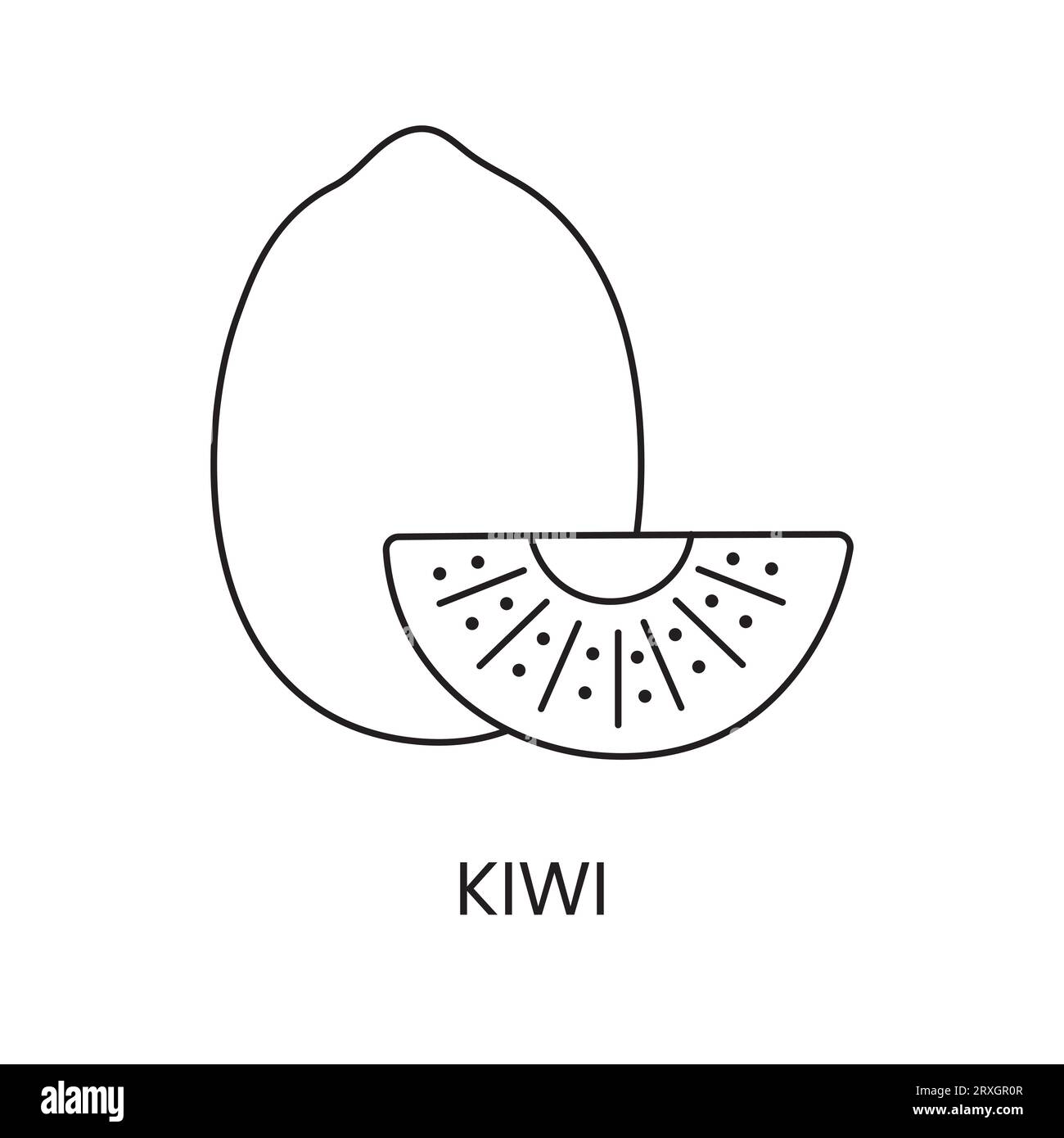 Kiwi line icon in vector, fruit illustration Stock Vector Image & Art ...
