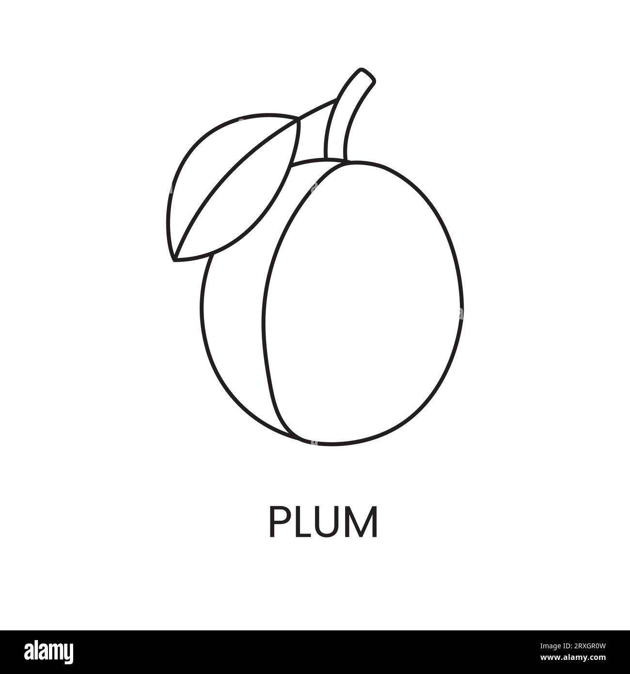 Plum line icon in vector, fruit illustration Stock Vector Image & Art ...