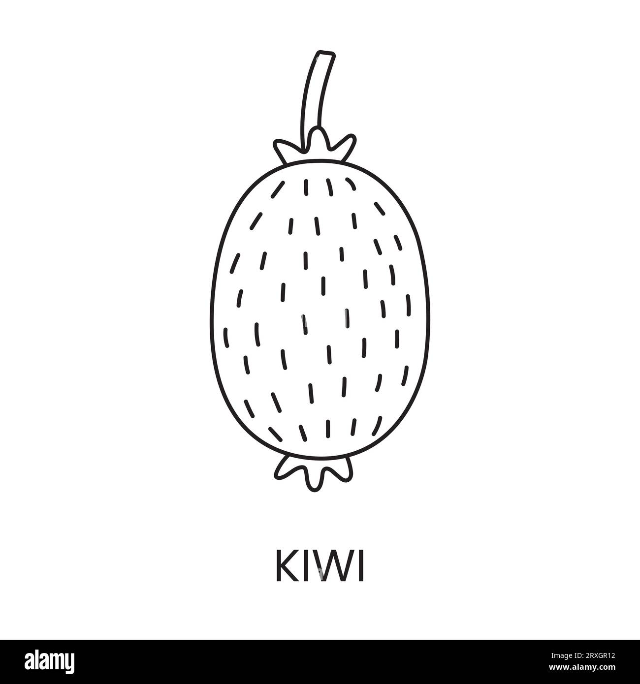 Kiwi line icon in vector, fruit illustration Stock Vector Image & Art ...