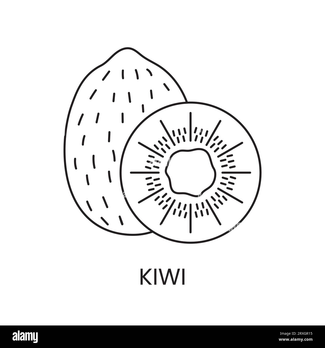 Kiwi line icon in vector, fruit illustration Stock Vector Image & Art ...