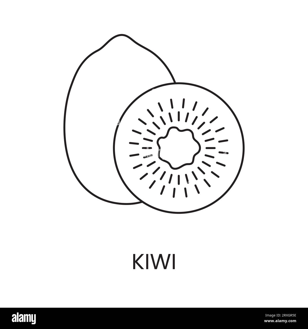 Kiwi line icon in vector, fruit illustration Stock Vector Image & Art ...