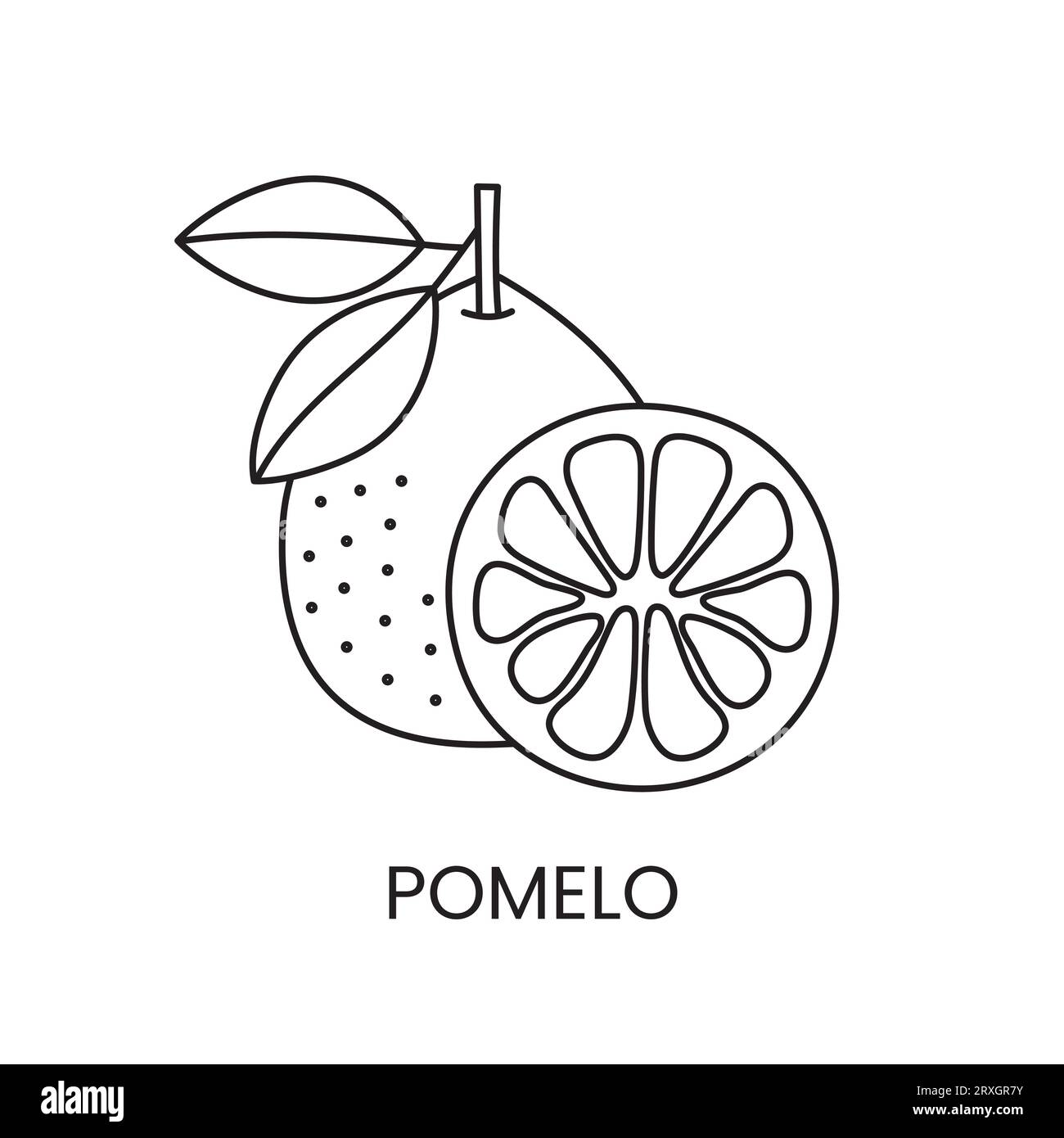 Fruit of pomelo Black and White Stock Photos & Images - Alamy