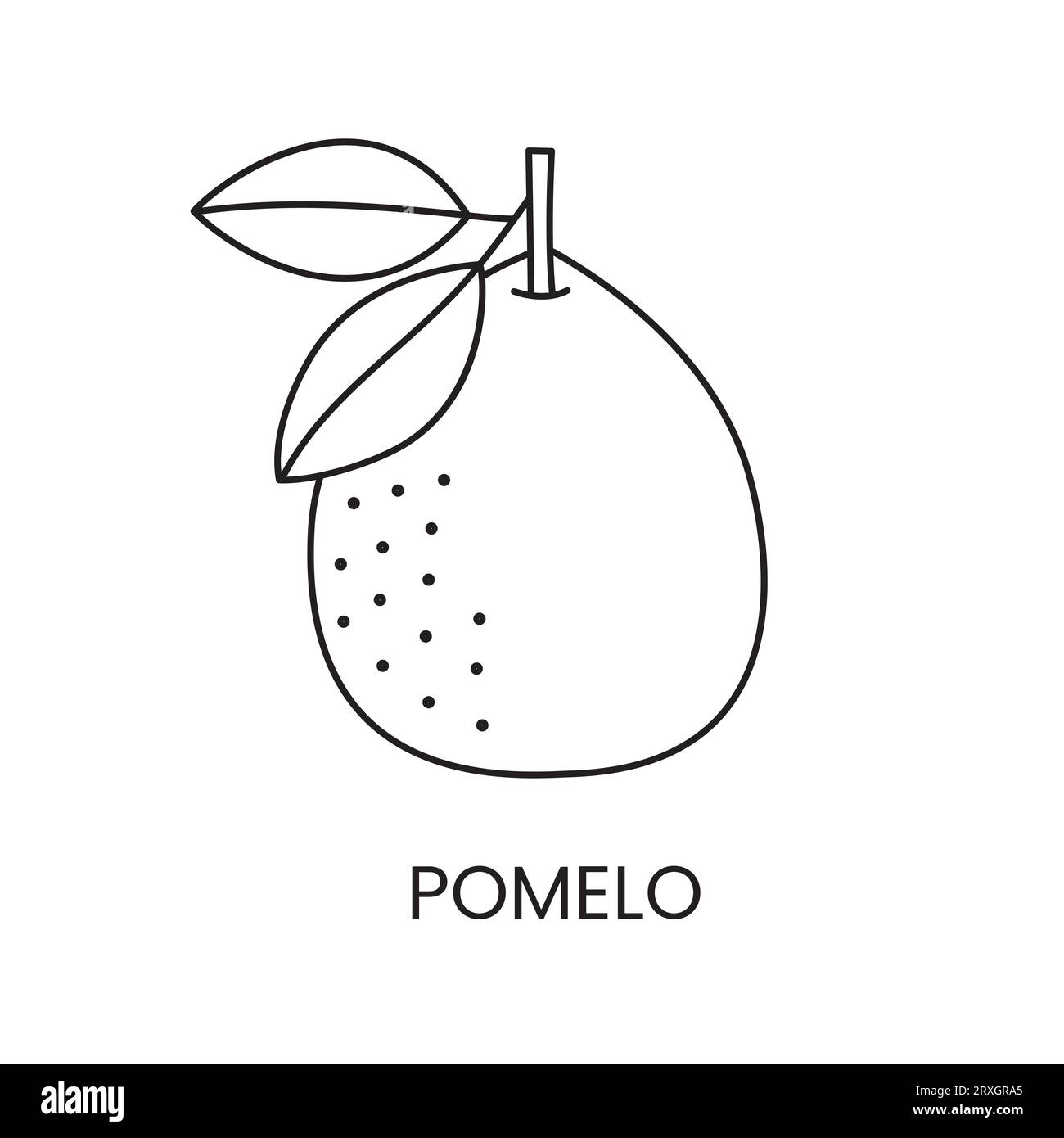 Fruit of pomelo Black and White Stock Photos & Images - Alamy