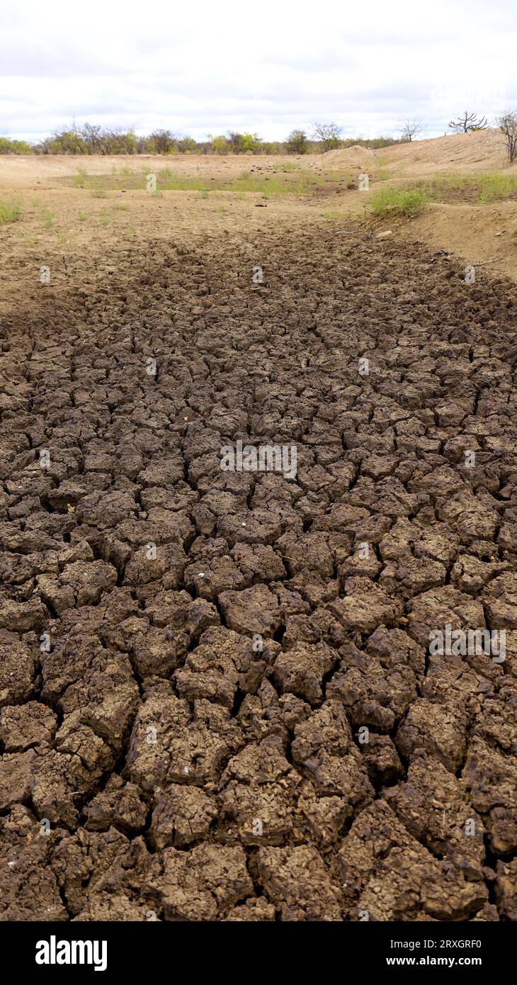 curaca, bahia, brazil - september 17, 2023: view of cracked earth in a ...