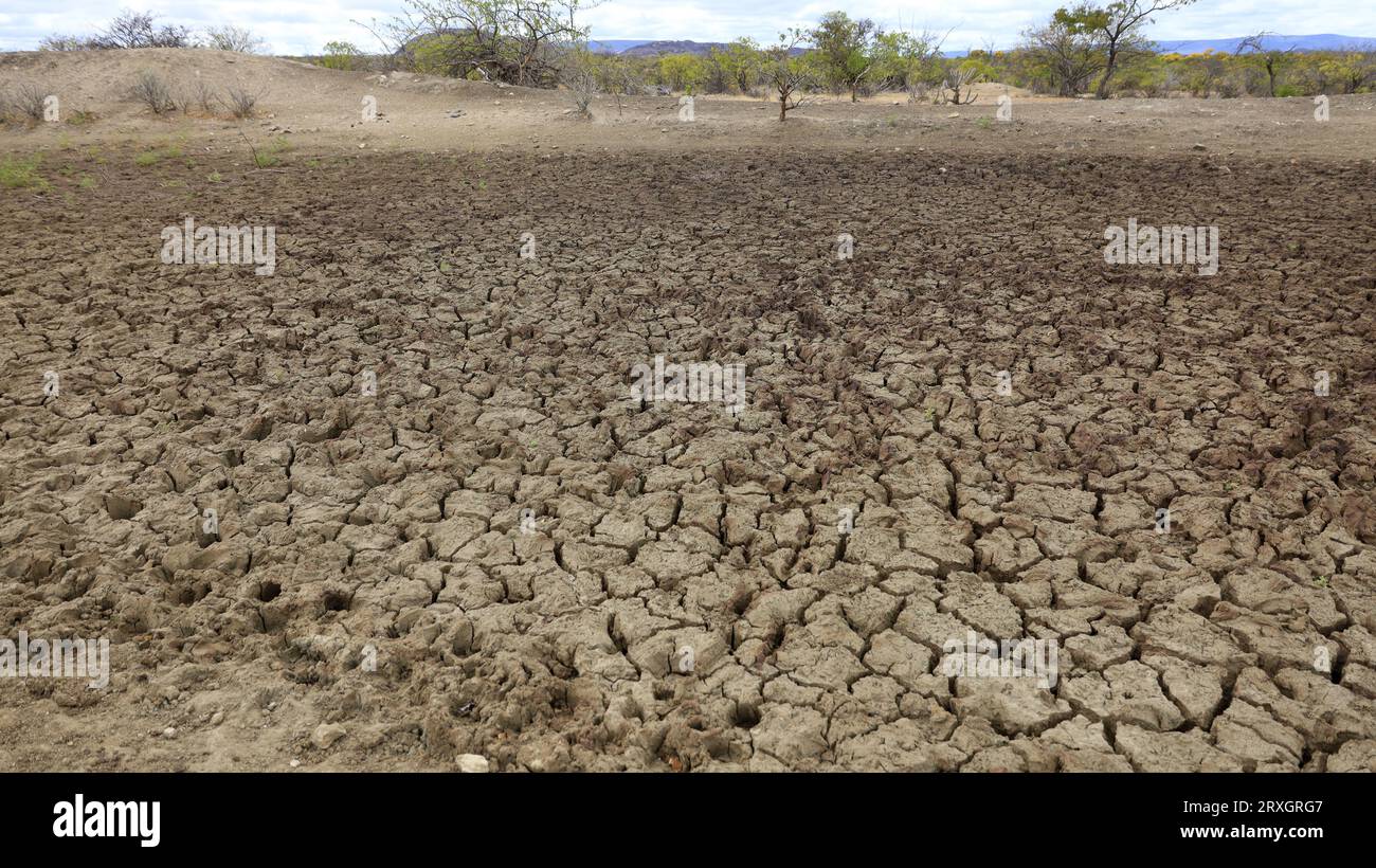 curaca, bahia, brazil - september 17, 2023: view of cracked earth in a ...