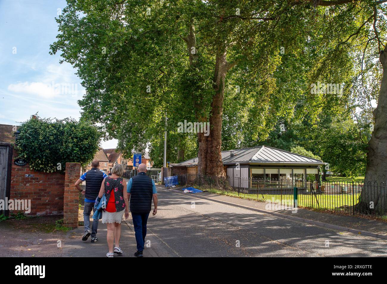 Marlow, UK. 25th September, 2023. A beautiful London Plane Tree in ...
