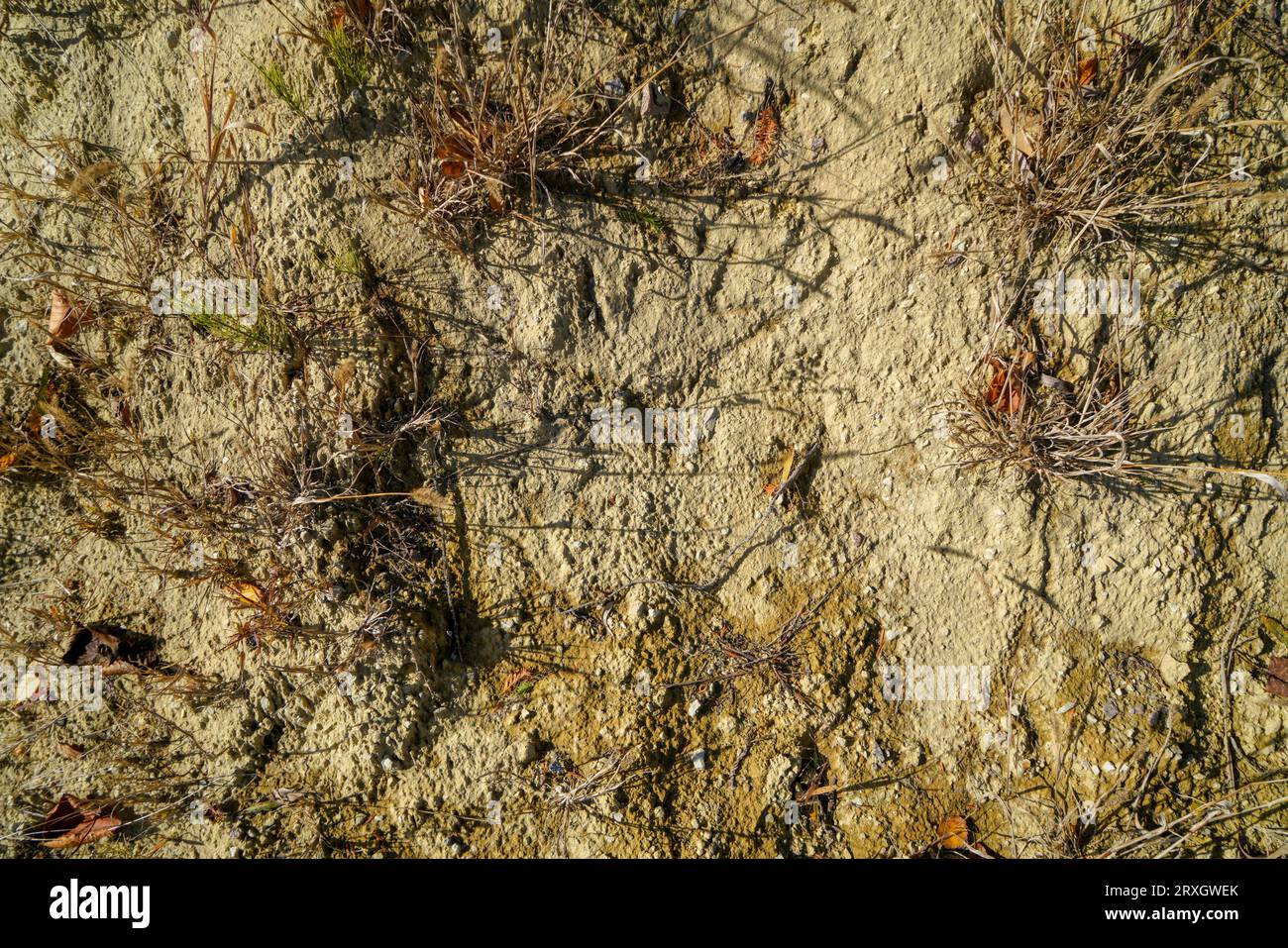 Soil from the quarry as a waste product and for versatile use in the ...